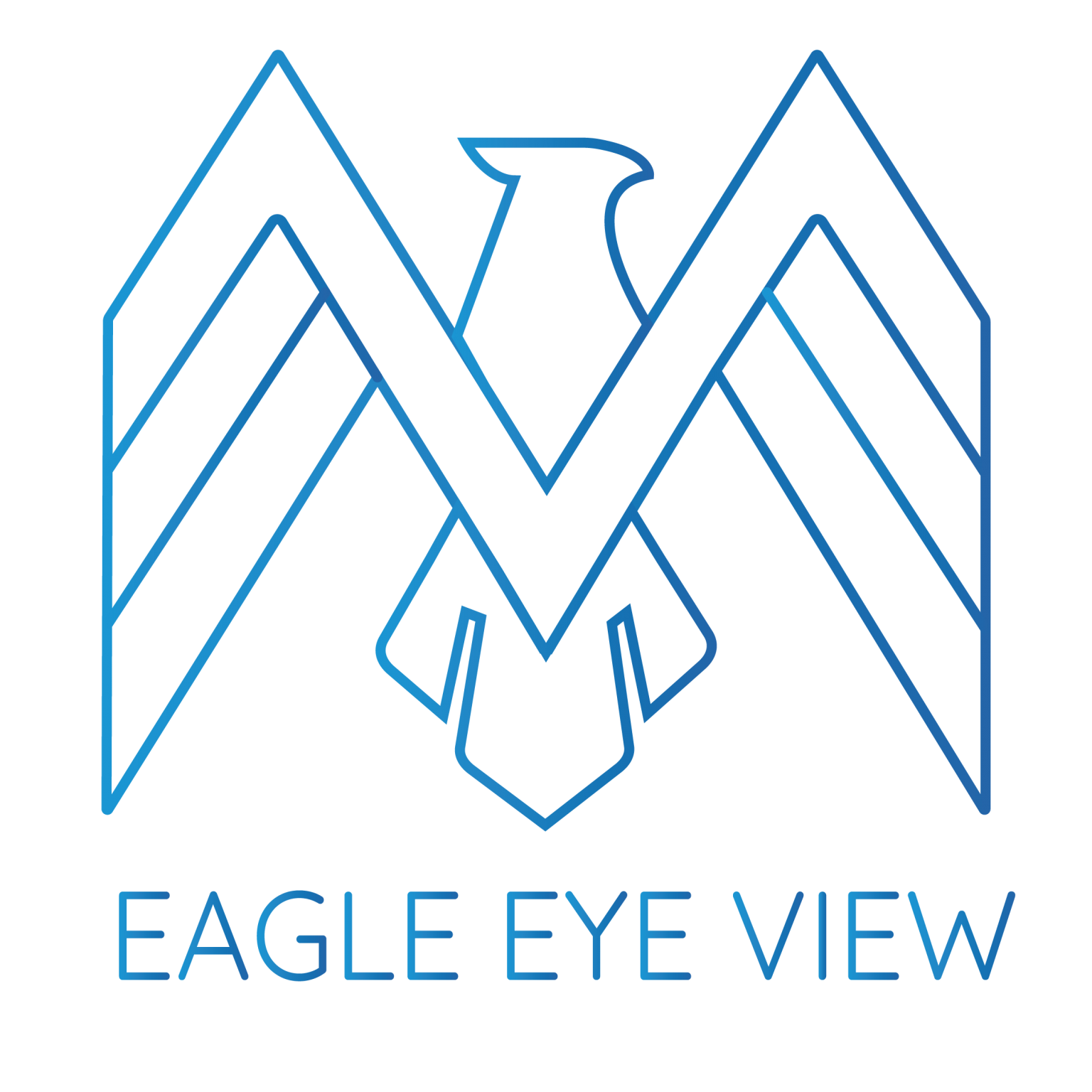 Eagle Eye View – Agency